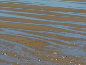 Marées – mais qui est arbon