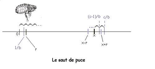 Le jour où les puces recommencent à sauter – mais qui est arbon